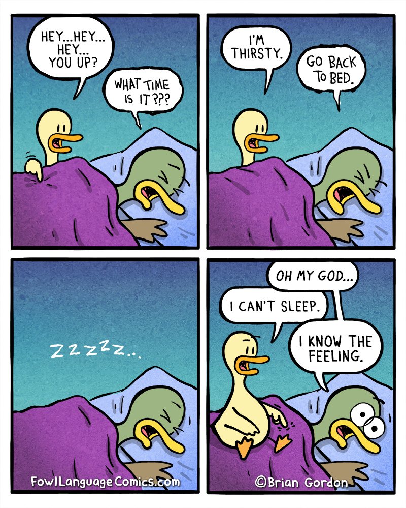 Can't Sleep - Fowl Language Comics
